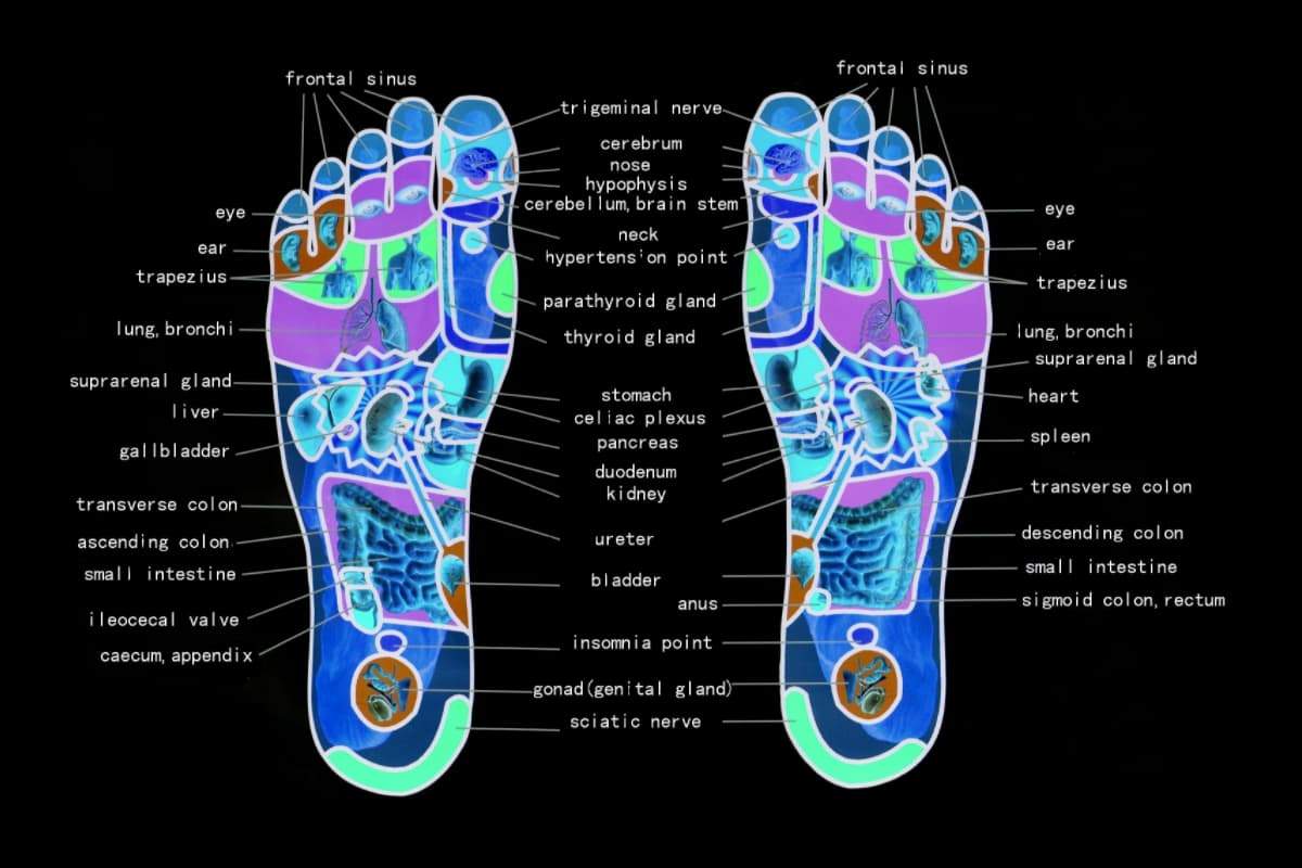 What Can The Bottom Of Your Feet Tell You About Your Health at Arthur ...
